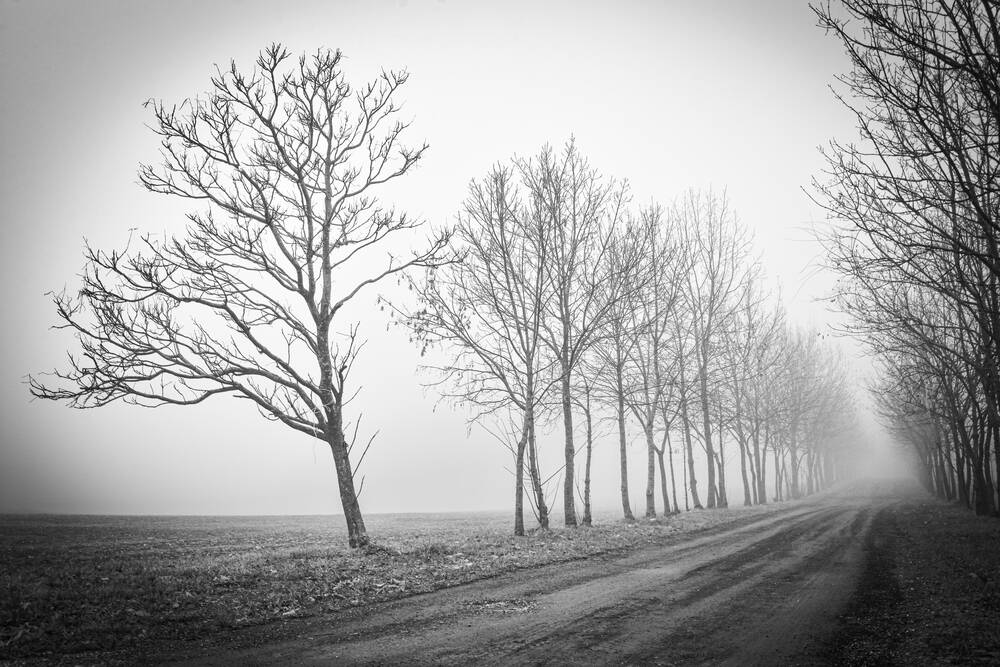 Unterwegs Bild - Kaufen / Verkaufen