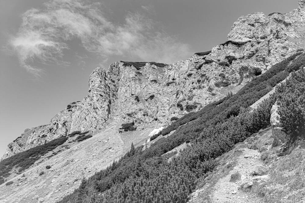 Rax - Photographic print for sale