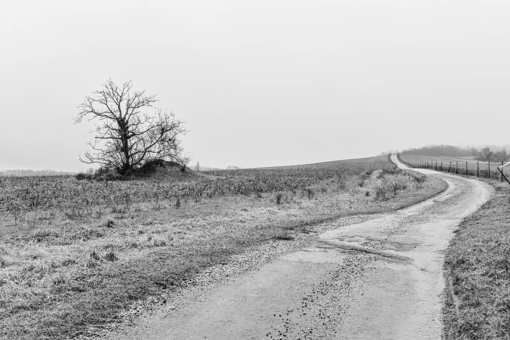 Wanderer - Photographic print for sale