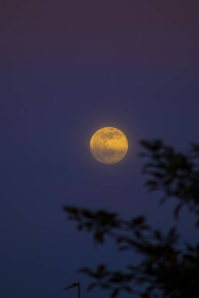 Moonlight - Photographic print for sale