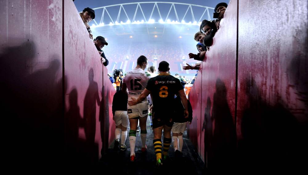 Australia defeated Ireland in the 2013 Rugby World Cup - Photographic ...