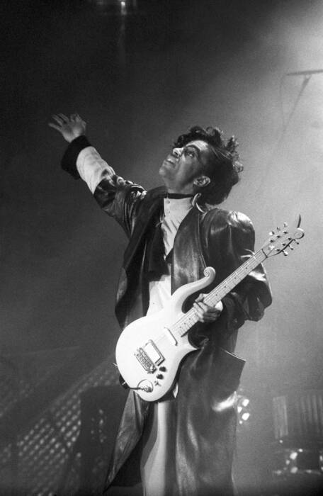Photo de Prince - Tableau de Prince - Editions Limitées - Achat / Vente