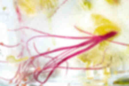 Series NARTIC - Carmen Santos olivares Photographer - Fine Art Photography