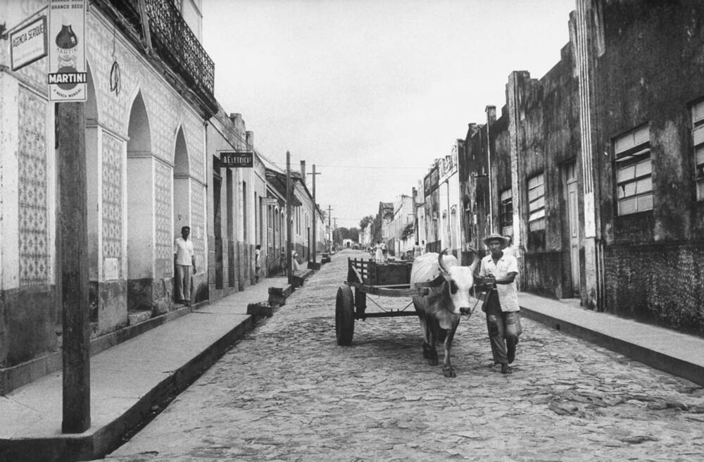 Bull Cart in Santarém -1957 - Photographic print for sale