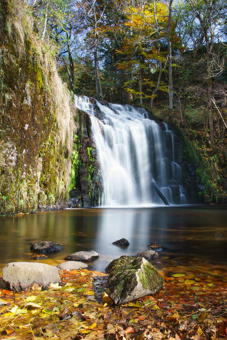 Cascade foto - Cascade afdruk - Beperkte oplage - Aankoop / Verkoop