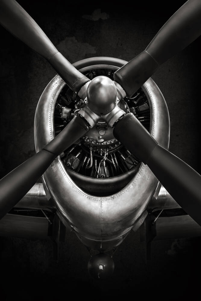 Republic P-47 Thunderbolt - Photographic print for sale