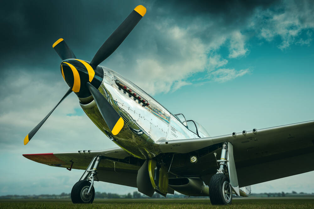 the mustang p51 - Photographic print for sale