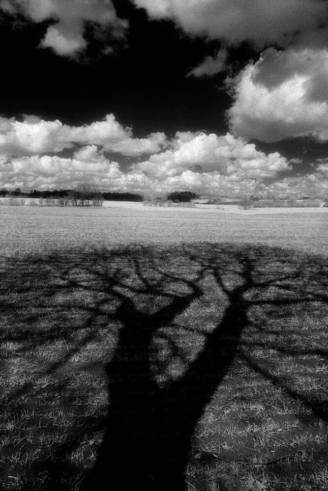 Infrared shadow Bild - Kaufen / Verkaufen