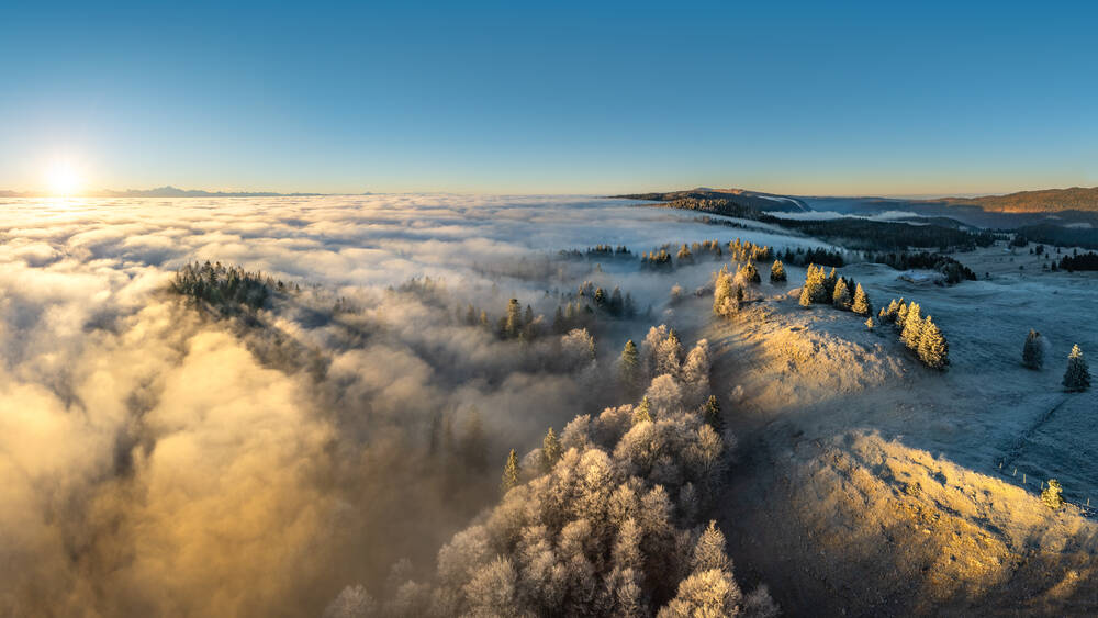 PHJ la dole 209 Bild - Kaufen / Verkaufen