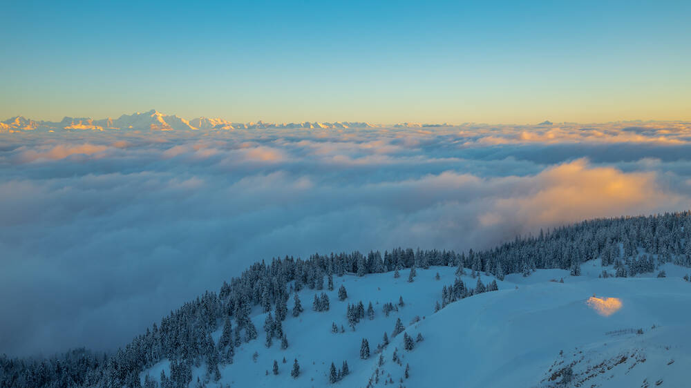 PHJ la dole 40 Bild - Kaufen / Verkaufen