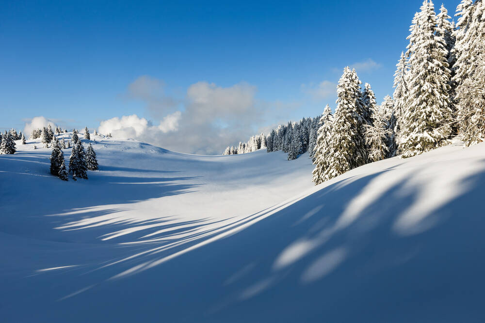 PHJ le noirmont 14 - Photographic print for sale