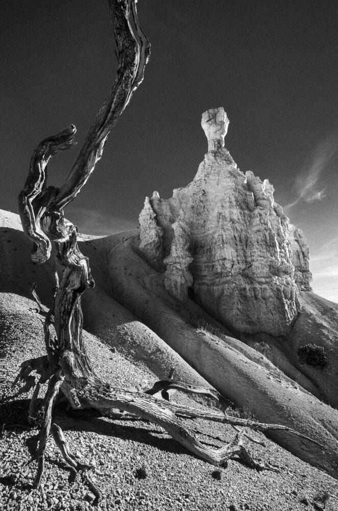 USA Bryce canyon 01 - Photographic print for sale