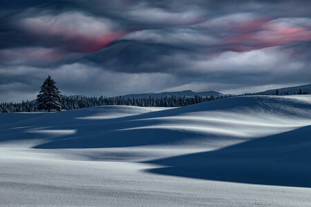 PHJ hautes combes 393 - Photo et Tableau - Editions Limitées - Achat ...