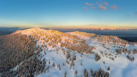 PHJ la dole 131 Bild - Kaufen / Verkaufen