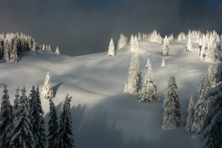 PHJ le noirmont 36 - Photo et Tableau - Editions Limitées - Achat / Vente