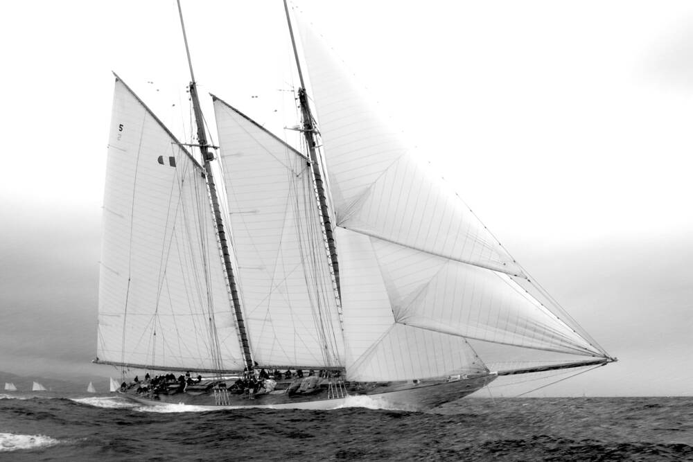 Eleonora - Photo et Tableau - Editions Limitées - Achat / Vente