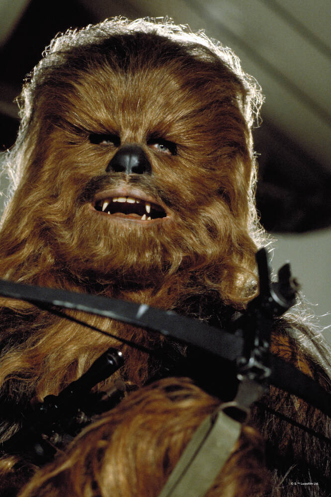 Chewbacca Star Wars