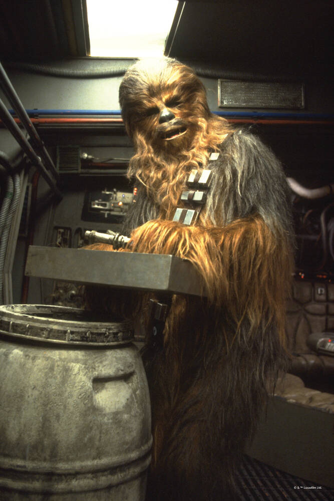 Star Wars - Chewbacca inside the Millenium Falcon - Photographic print ...