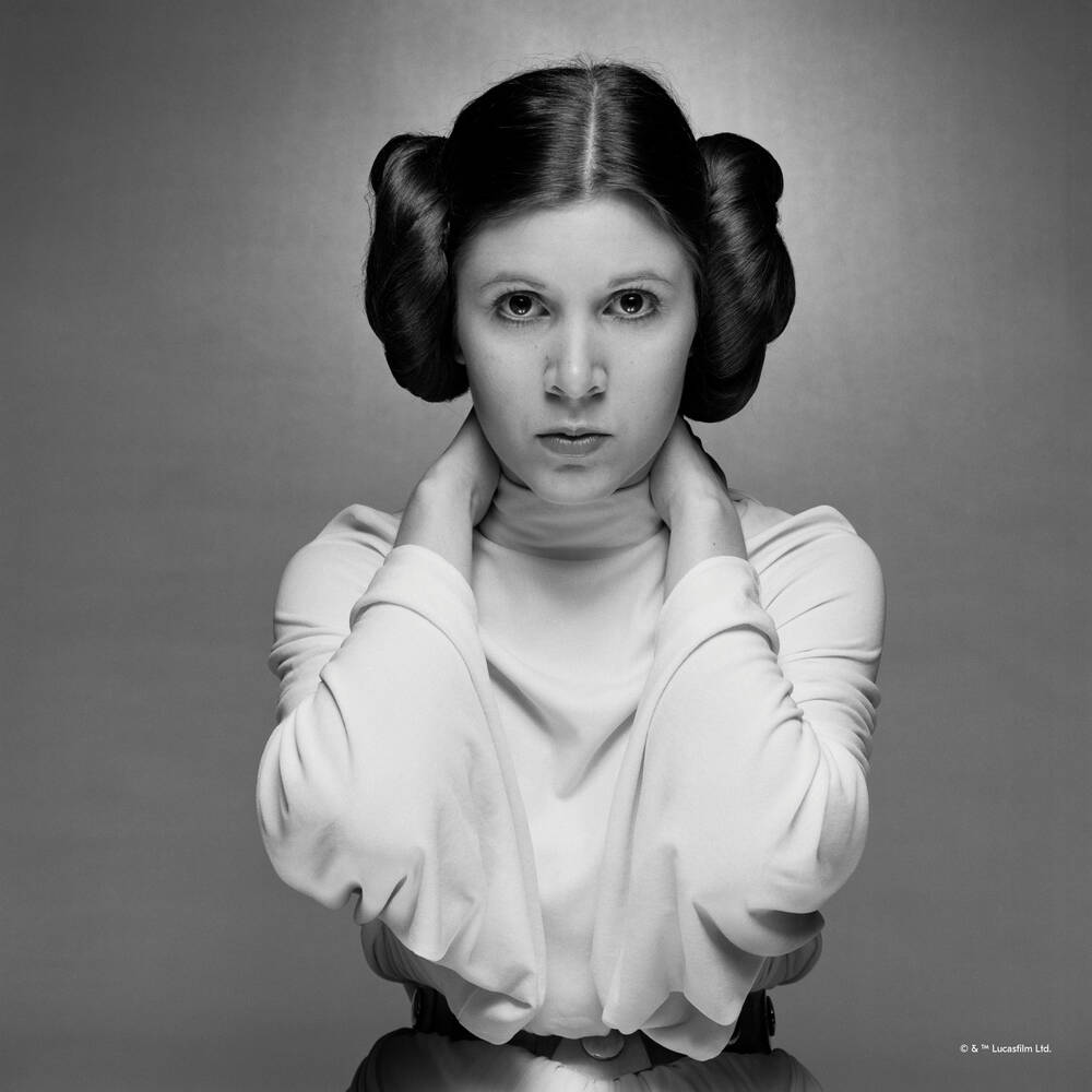 Painting Princess Leia Wallpaper