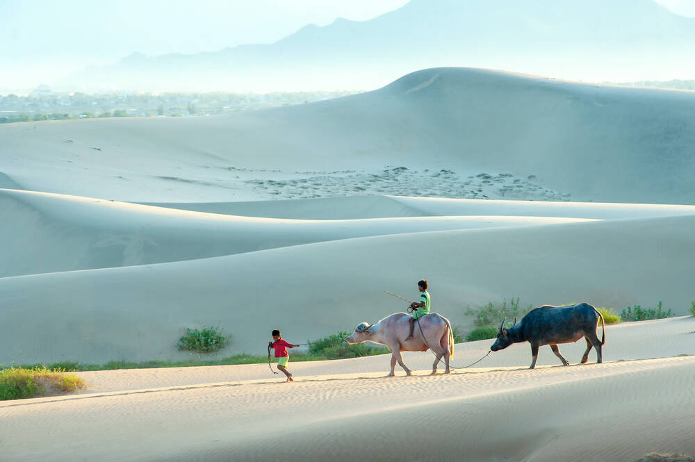Nam Cuong sand dune - Photographic print for sale