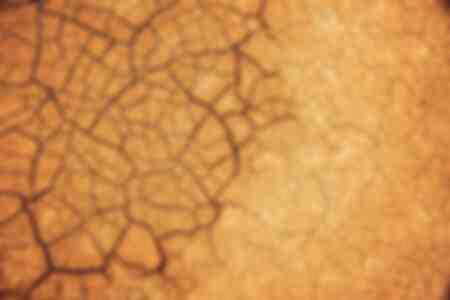 Craks Fotos & Pósters | Cyril Dallest